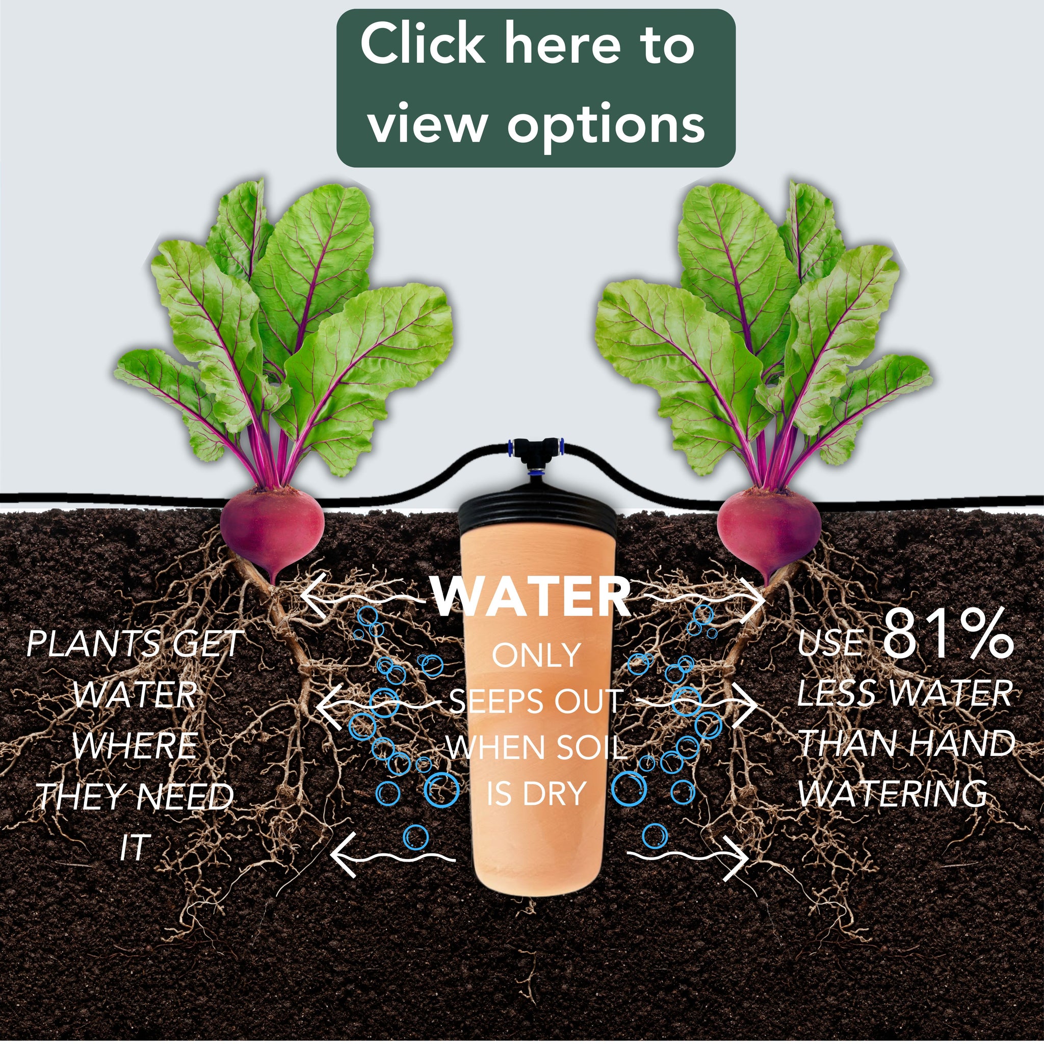 Thirsty Earth Cotta Pot Garden Watering Kit – Your Urban Oasis